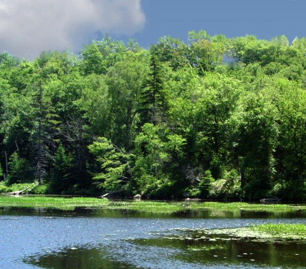 AdirondackPondSample