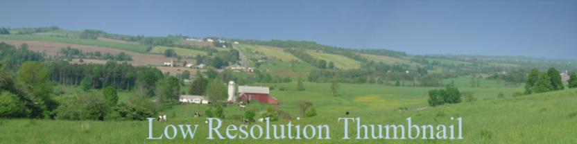Custom Backdrops